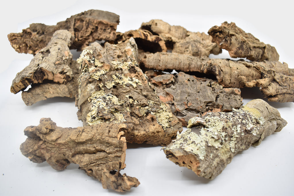 Cork Bark – Isopod Factory